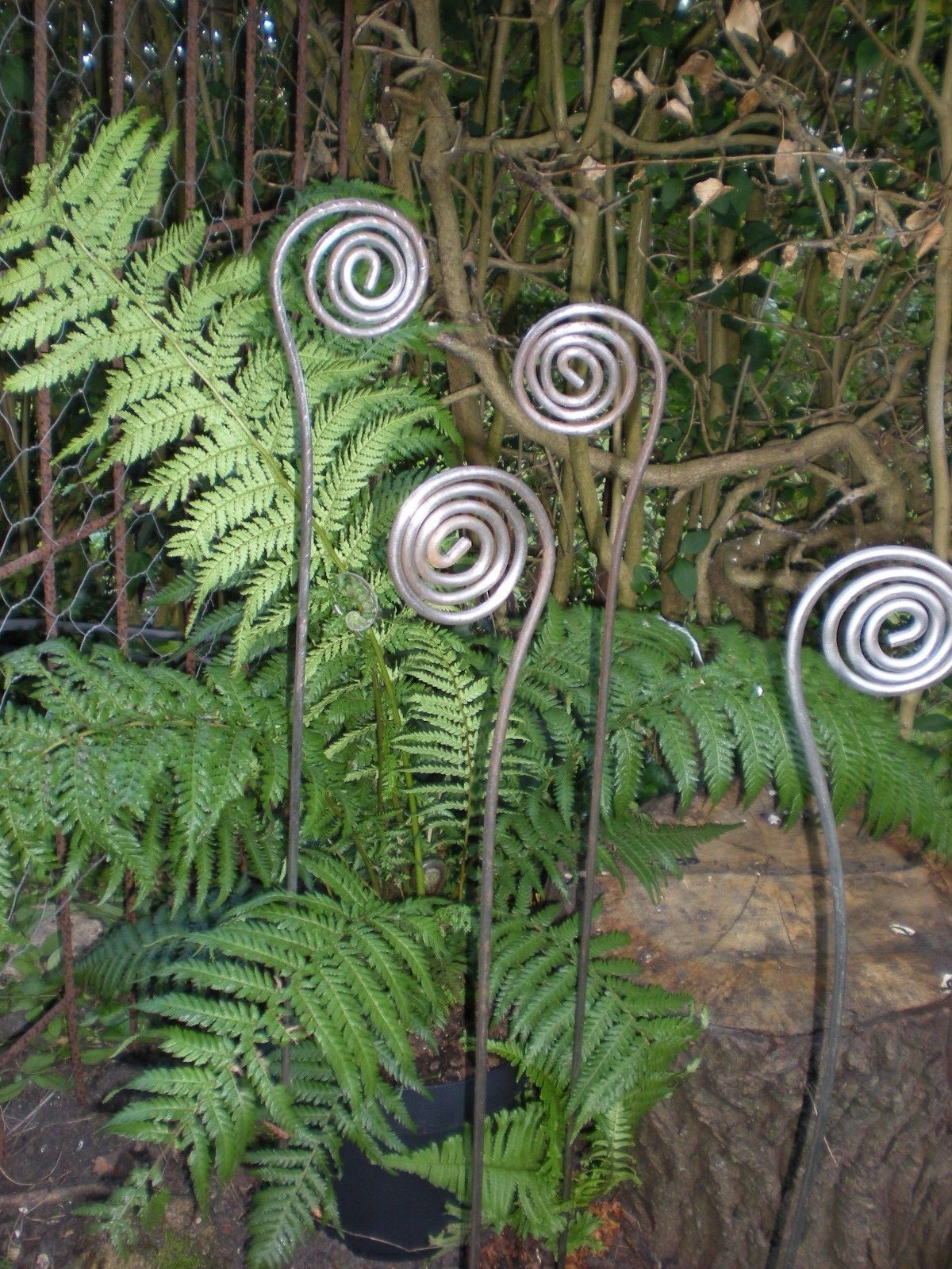 4 Plant Stakes, Supports, 1 metre, Metal, Fern Frond, Garden ...