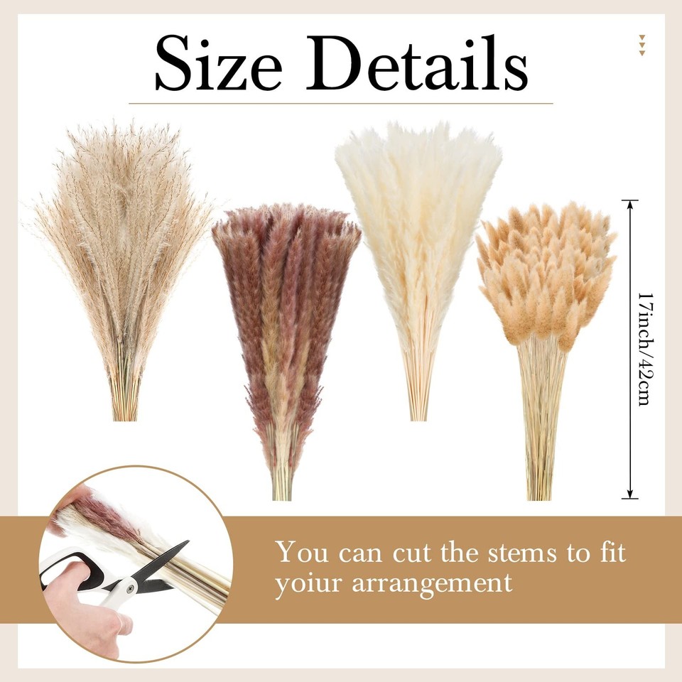 400 Pcs Dried Pampas Grass Decor Bulk 17 Inch White Dried Reed Grass ...