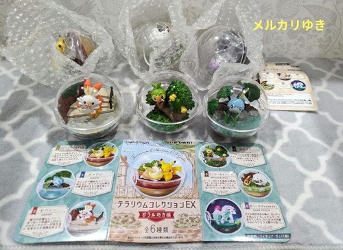 Pokemon Terrarium Collection Ex Galar Region Edition 6 Types Rement | eBay