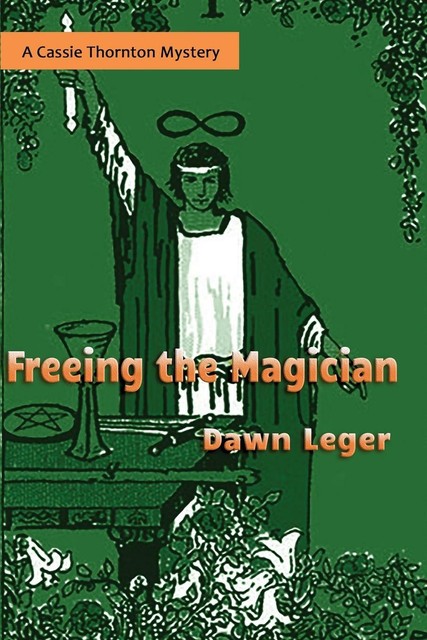 Freeing the Magician von Dawn Leger (2019, Taschenbuch) online kaufen ...