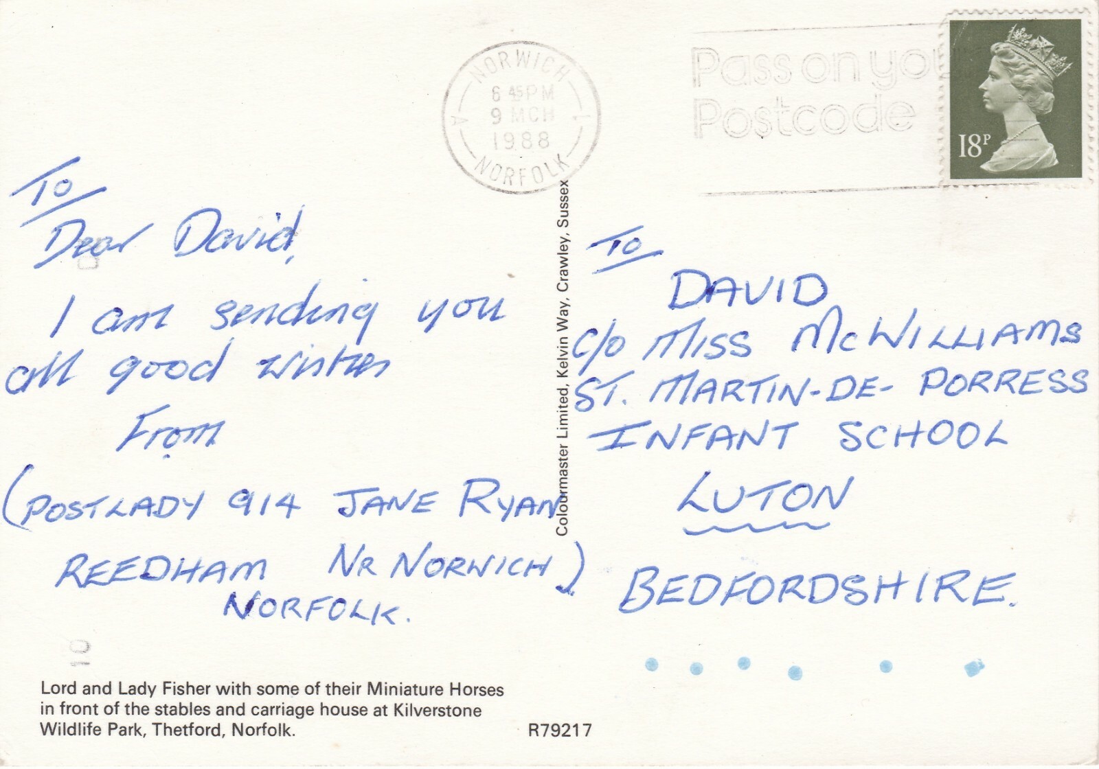 6x4 Continental size printed postcard Lord & Lady Fisher Horses ...