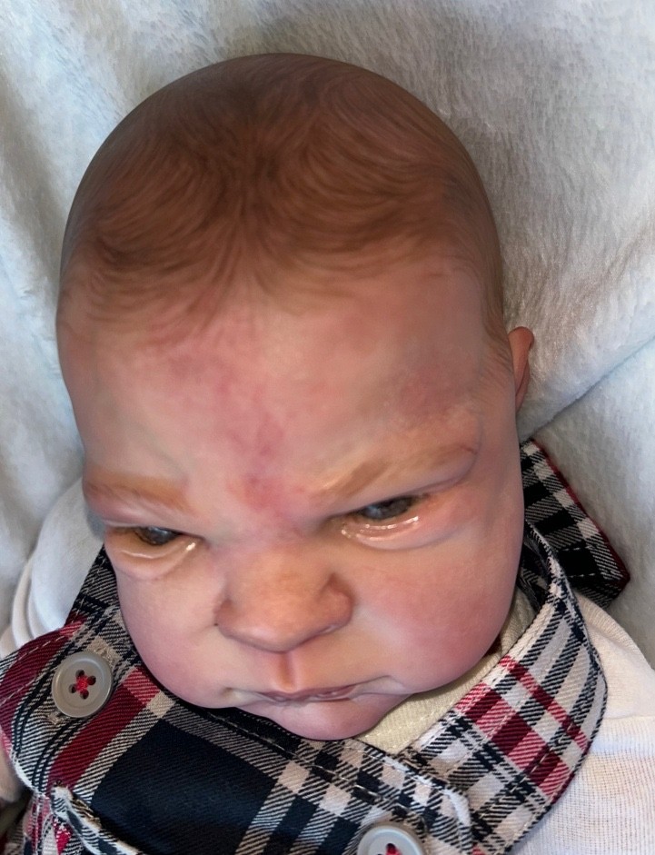 Reborn Baby Doll Scarlet by Cindy Musgrove Girl bundle and belly plate ...