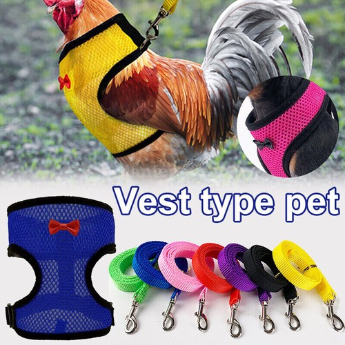 Chicken Harness with Adjustable Leash Small Pet Harness Duck Goose Hen ...
