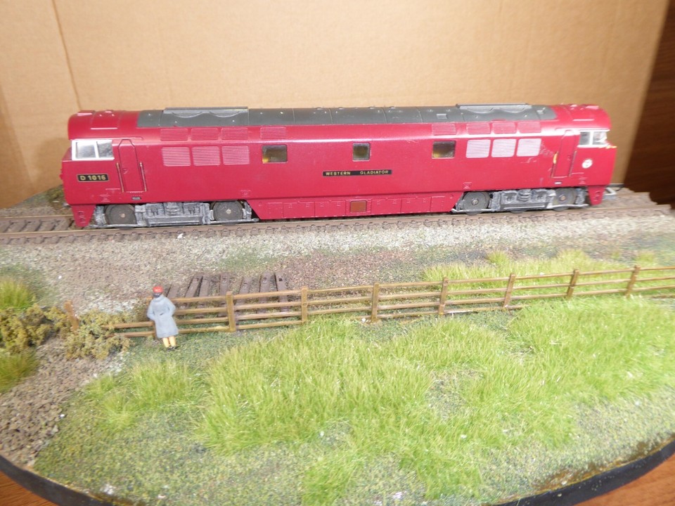 Lima 00 Gauge BR Class 52 Western Diesel Loco no D1016 in BR Maroon Livery | eBay UK