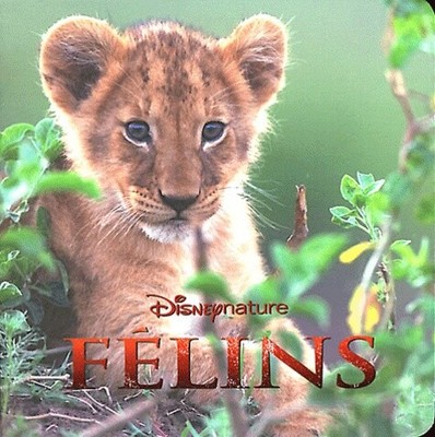 Félins, MONDE ENCHANTE | eBay