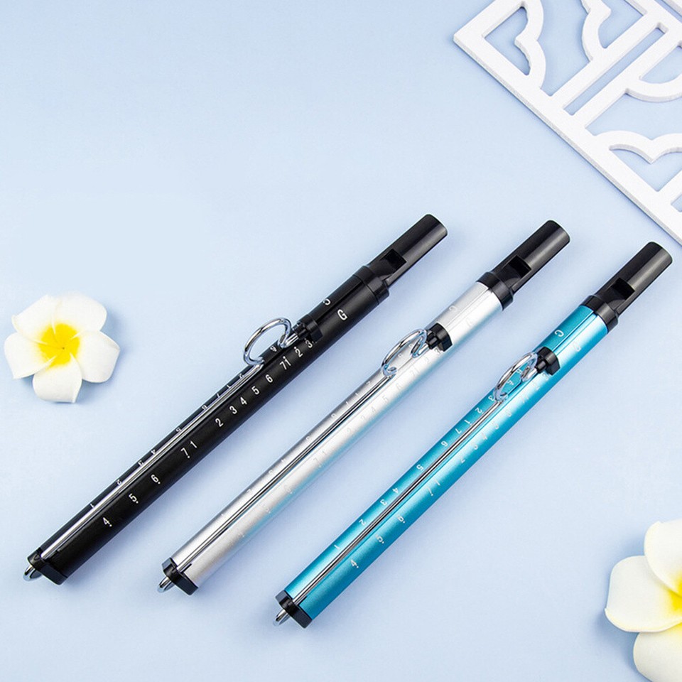 Slide Whistle Funny Instrument Slide Flute Rutsche kleine | eBay.de