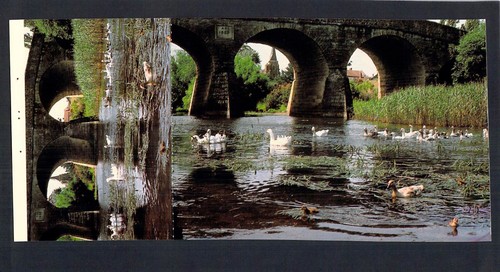 T1205 Australia T Richmond Bridge Ansett Pioneer Coach Tour postcard ...