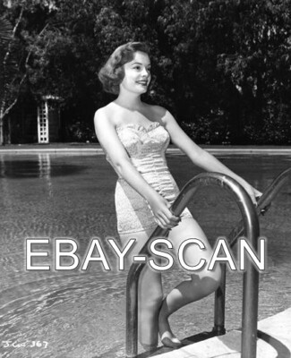 JANE GREER LEGGY CHEESECAKE 8X10 PHOTO 94 | eBay