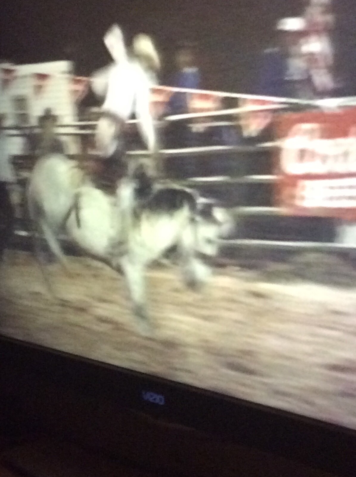 Rodeo Bloopers 1 vhs Bronco Busting Bullriding Cowboys | eBay