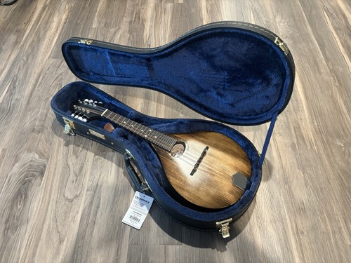 Handcrafted mandolin, in mint condition, Mahogany, New cross rock case ...