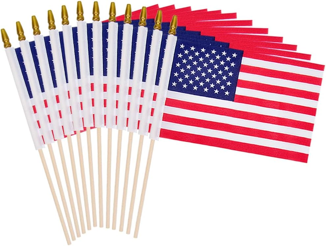12 Pack Small American Flags Small US Flags/Mini American Flag on Stick ...
