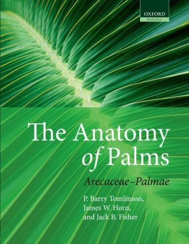 The Anatomy of Palms : Arecaceae - Palmae by James W. Horn, P. Barry ...