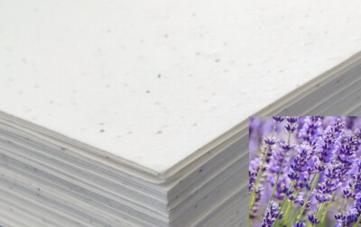 Seeded Craft Paper 10 Sheets A4 Size Lavender Seeds 200GSM Cardmaking ...