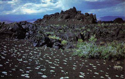 Postcard Idaho: Lava, Devil's Orchard, Craters of the Moon National ...