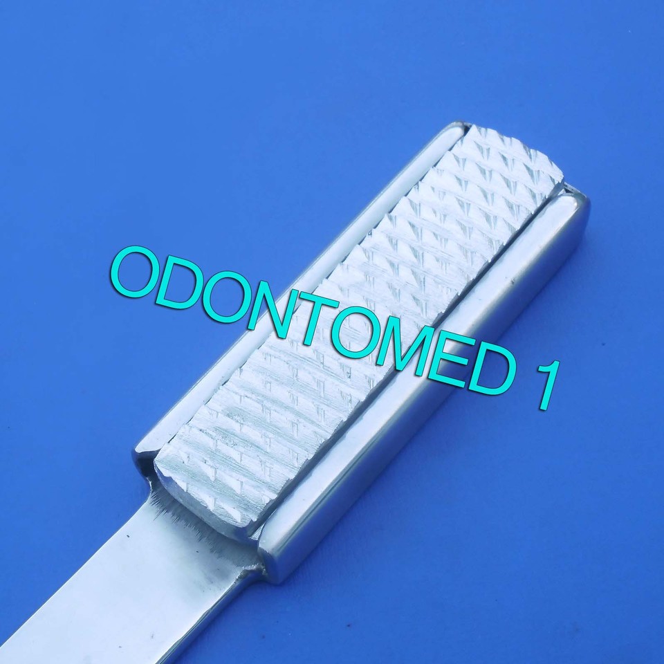 Equine Dental Float Rasp Straight Flat Handle Veterinary Instruments | eBay