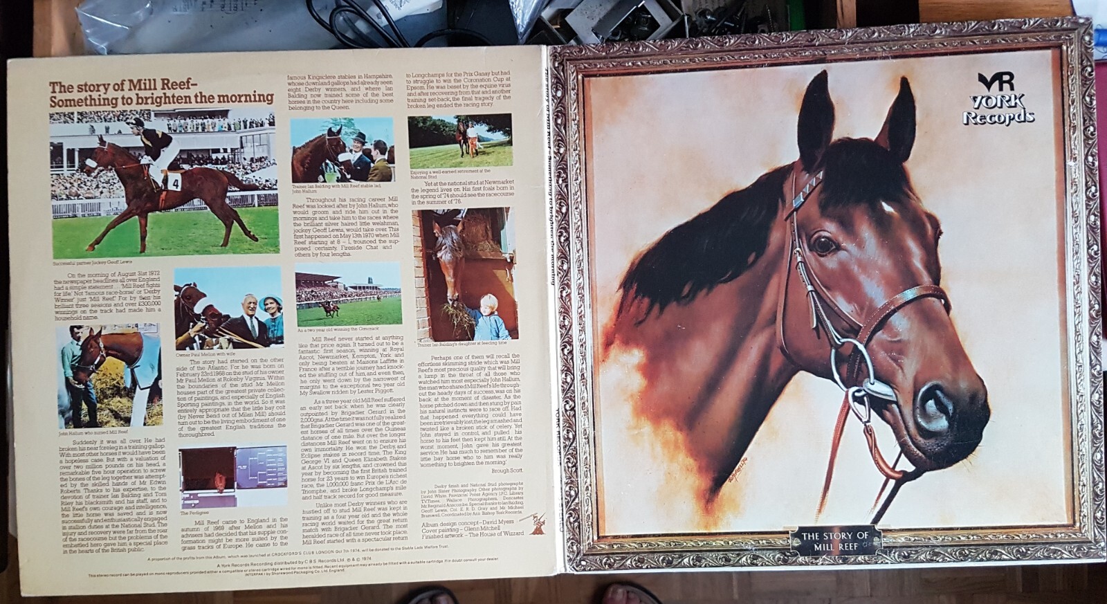 Tim Hollier The Story Of Mill Reef- Something To Brighten Th | eBay