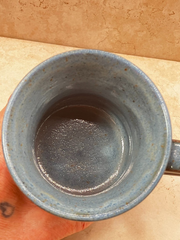 Vintage 2003 Artist Signed Nelson Studio Pottery Sea Life Mug 14 Fl Oz ...