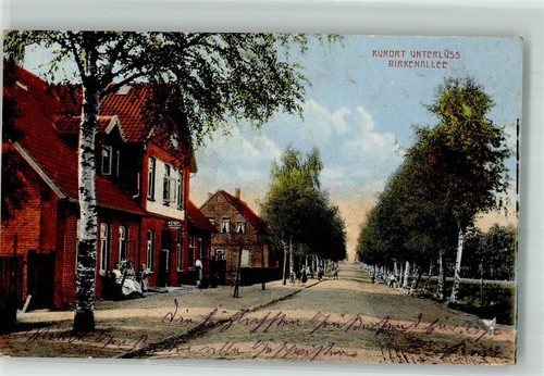 13536165 - 3104 Unterluess Birkenallee 1916 | eBay.de