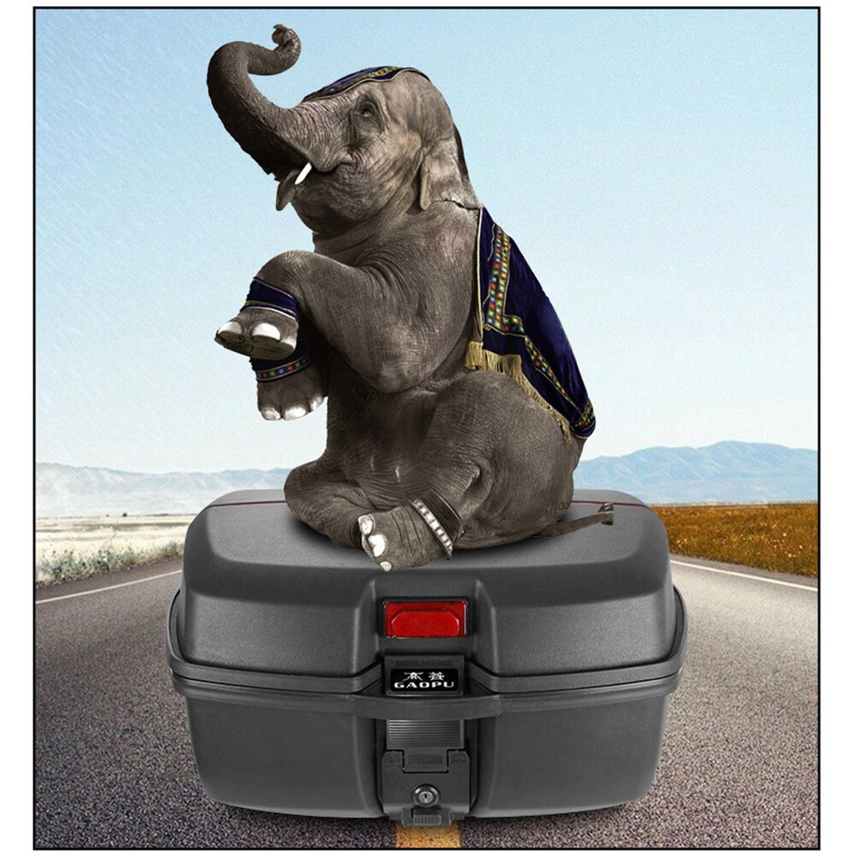 Black Motorcycle Tour Pack Trunk Tail Box Luggage Universal W/Security ...