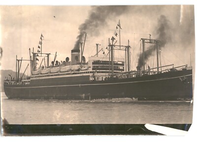 Beautiful SAN FRANCISCO Steamship SS Golden Gate VINTAGE 1920s Press ...