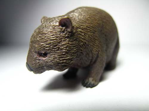2016 NEW Collecta Animal Toy / Figure Wombat | eBay