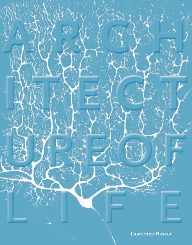 Architecture of Life by Lawrence Rinder (2016, Trade Paperback) for ...