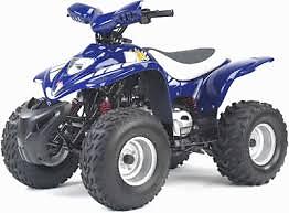 APACHE RLX 100 QUAD WORKSHOP MANUAL/SERVICE MANUAL, WORKSHOP SERVICE ...