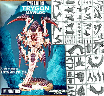 Modules - Trygon Model