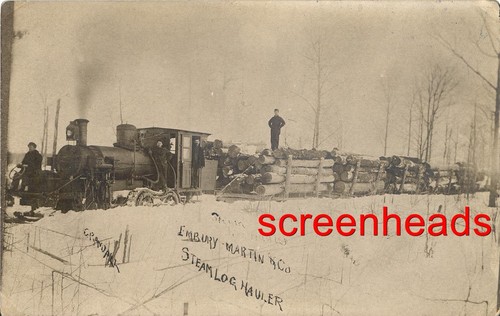 C1910 RPPC PHOTO Steam Railroad Train Log Hauler CHEBOYGAN MICHIGAN VG ...