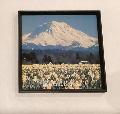 Mount Rainier Highest Mountain in Washington Frame Shape Fridge Magnet ...