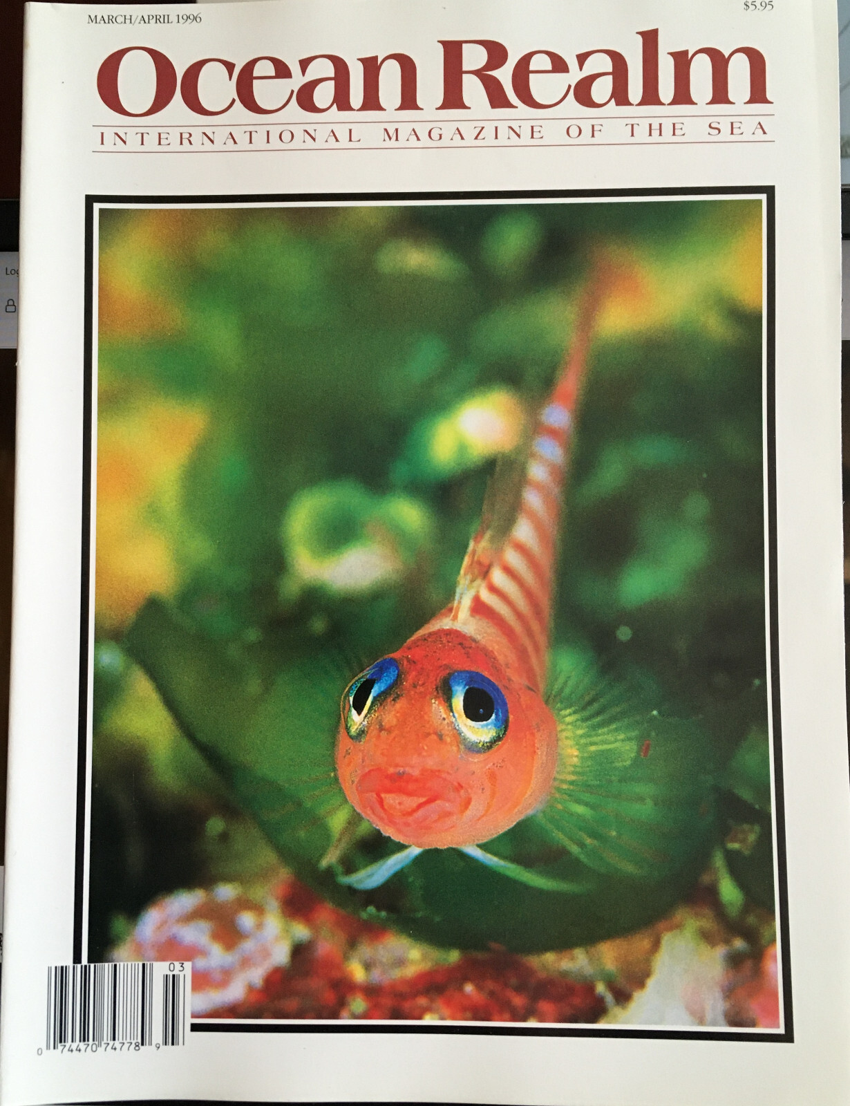 Ocean Realm International Magazine of the Sea March/April 1996 | eBay
