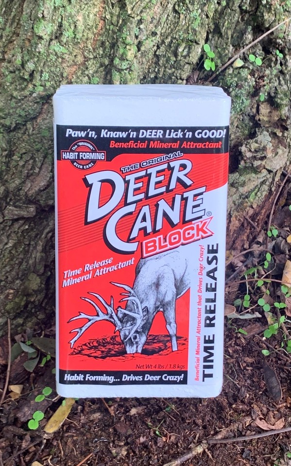 (2 pack) Evolved Deer Cane Block Adult Mineral Hunting Attractant | eBay