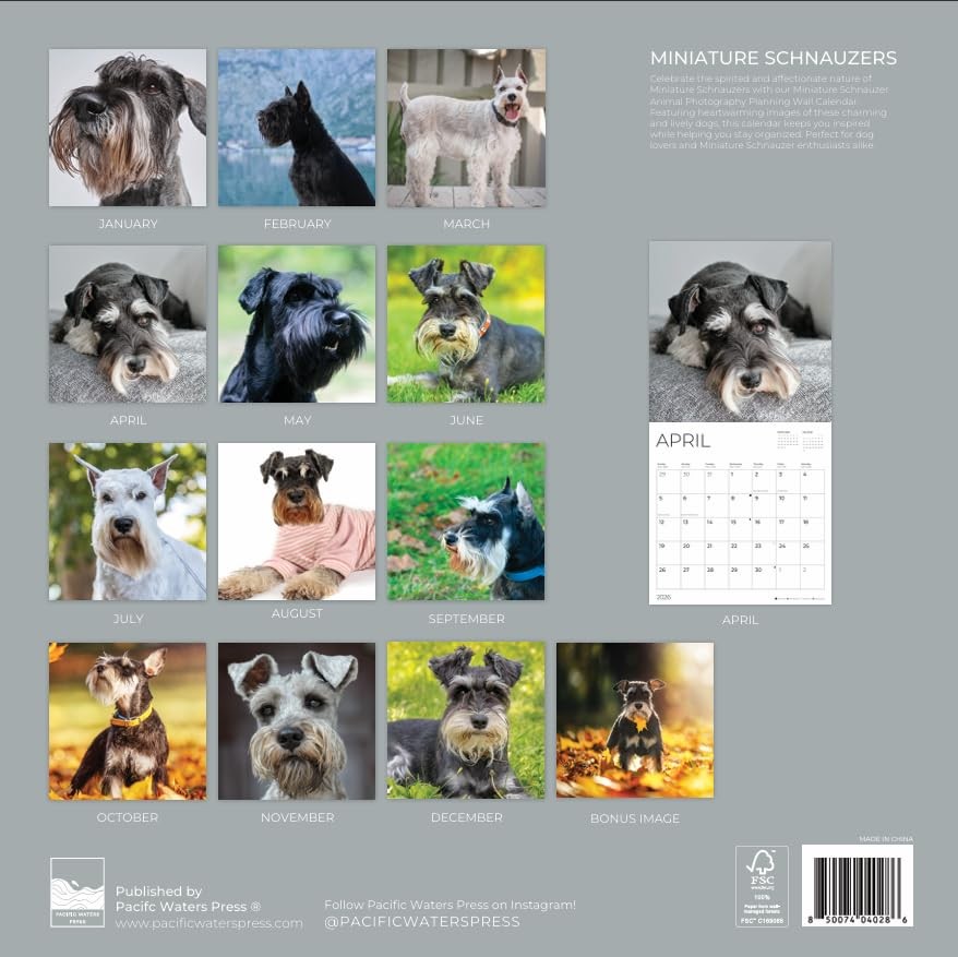 2026 Miniature Schnauzers Wall Calendar 12 Month | 12" x 24" Open | Dog ...