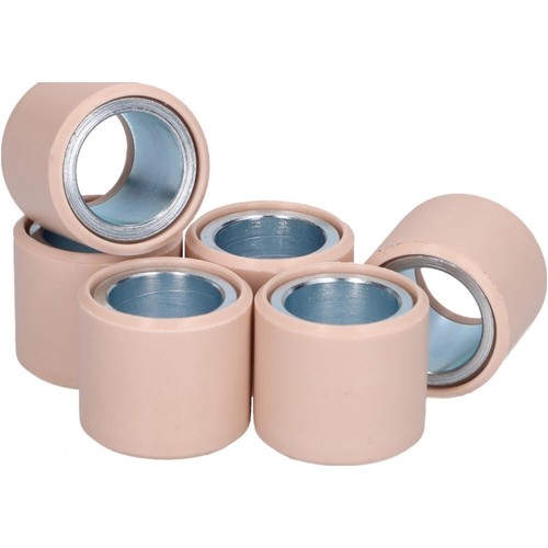 Variorollen Variomatikgewichte OEM Originalvariomatik 25x22 - 28,00g ...