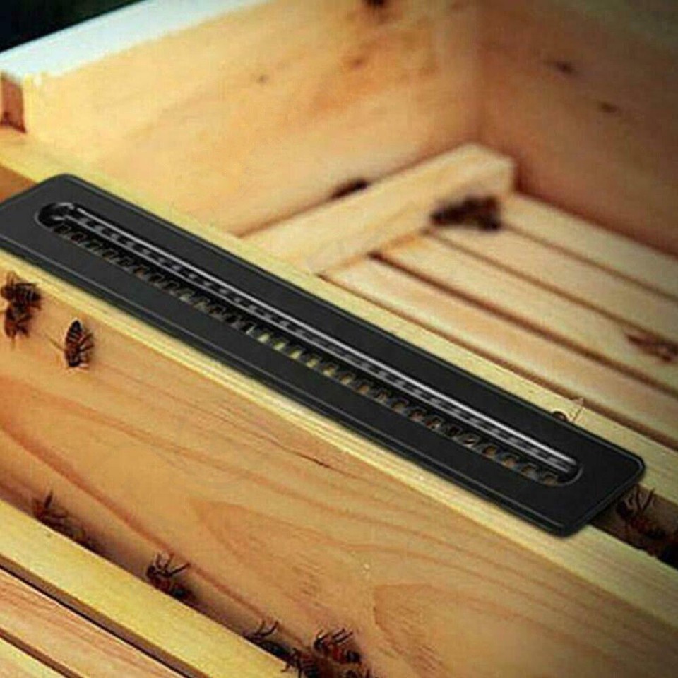 10X Plastic Small Bee Hive Beetle Blaster BeeHive Beetle Trap ...