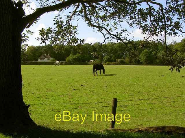 Photo 6x4 Interior of Buckland Rings iron-age camp Lymington View west ...