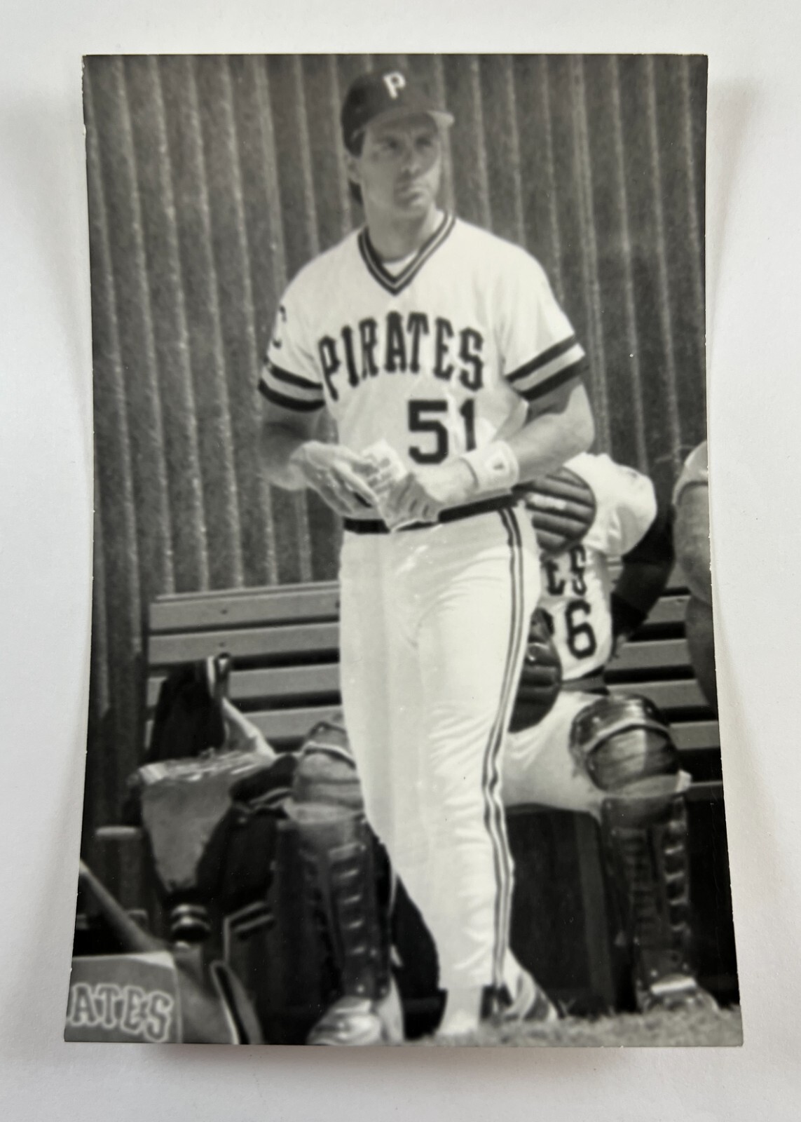 Dann Bilardello (1989) Pittsburgh Pirates Vintage Baseball Postcard ...