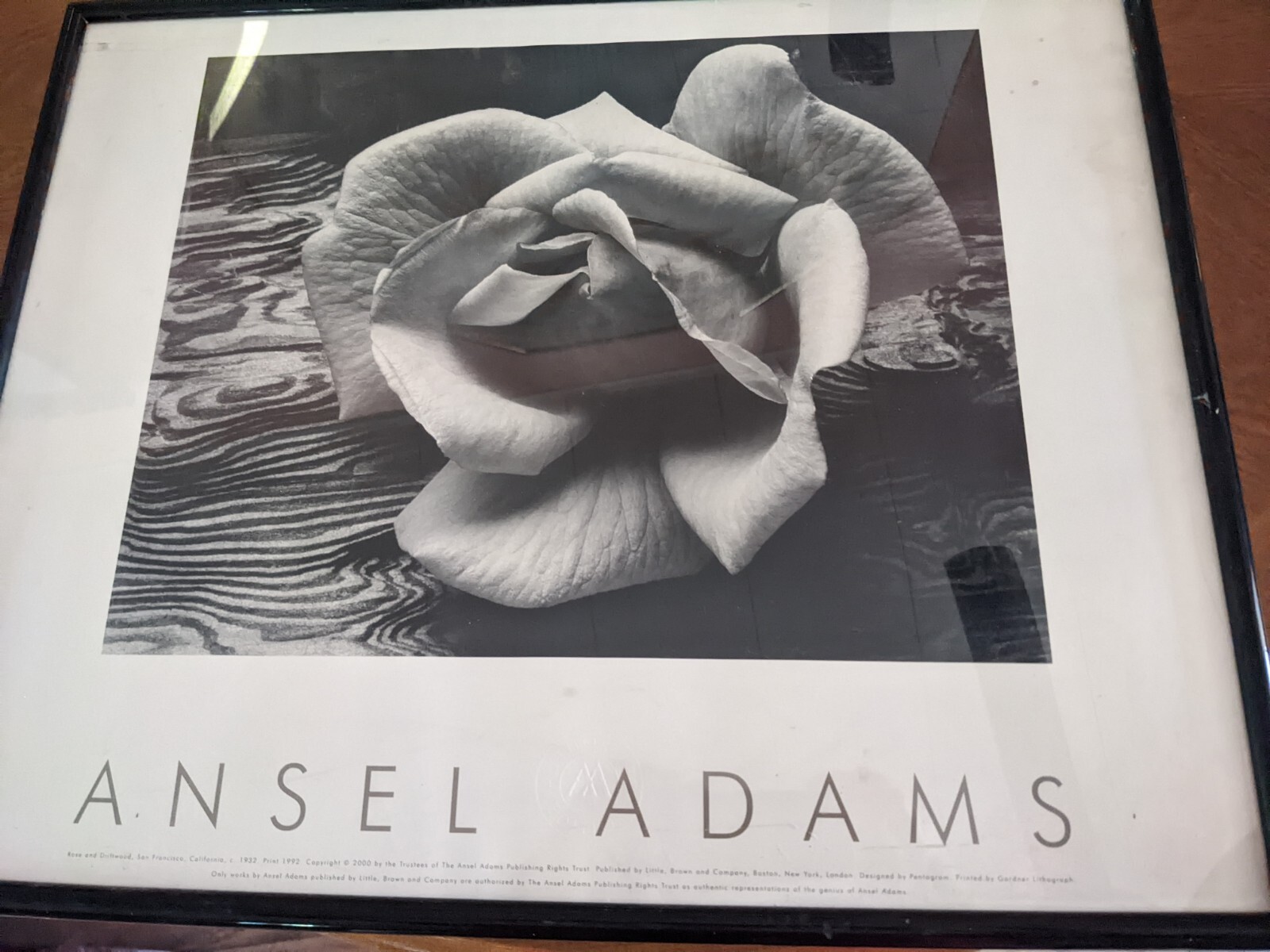 Ansel Adams Photography Rose