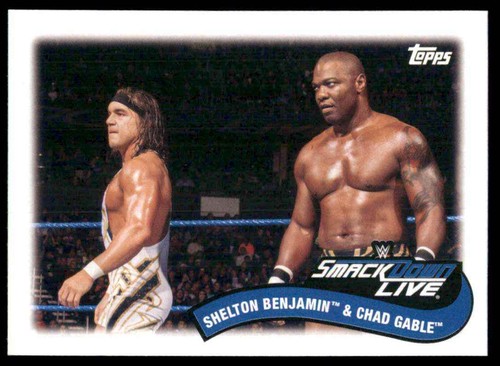 2018 Topps Heritage Wwe Tag Teams And Stables Shelton Benjamin & Chad ...