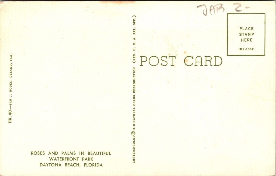 Roses Palm Trees Beautiful Waterfront Park Daytona Beach FL Postcard ...