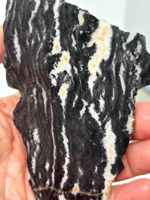 Zebra stone aka Zebra Marble Slab Cabbing Lapidary Collecting Combo ...
