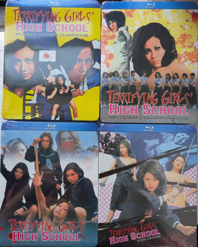 TERRIFYING GIRLS' HIGH SCHOOL '70s Pinky Violence Series: All 4 Films/4 ...