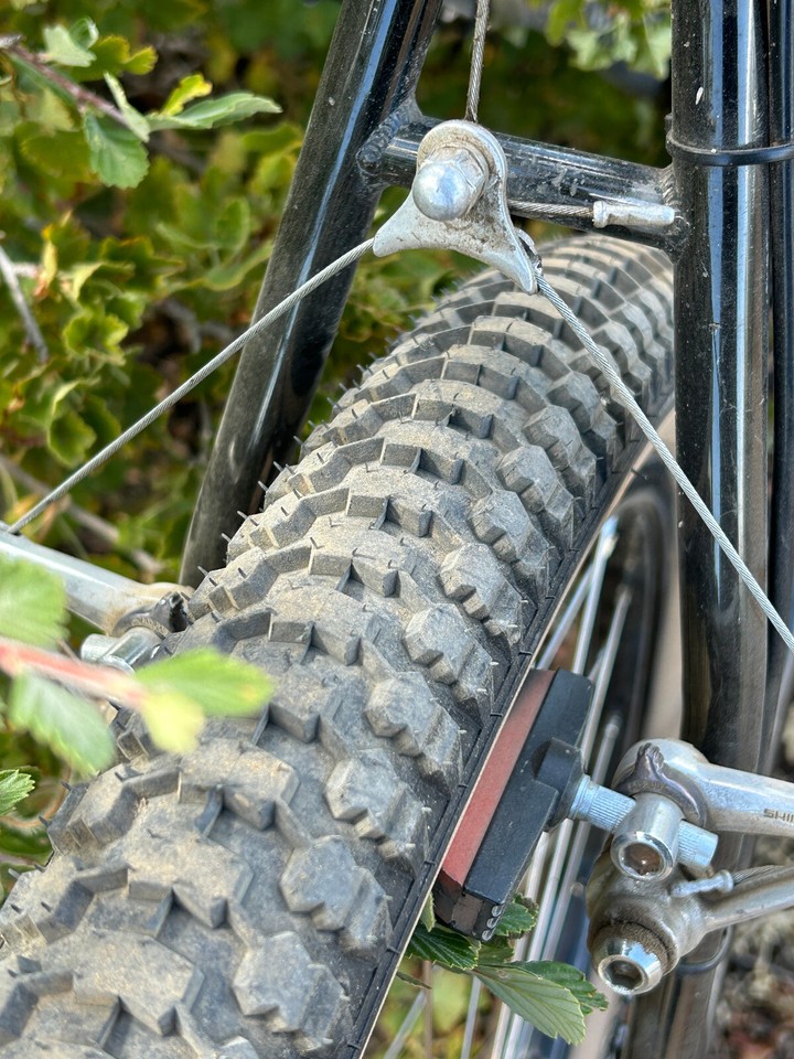 House of Looptail 26 x 2.125 SNAKE BELLY tires BMX Cruiser Vintage MTB ...