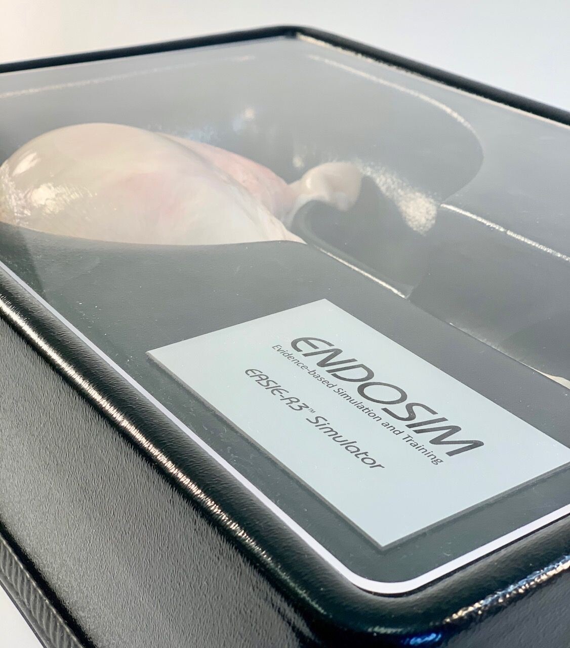 Endosim EASIE-R3 Endoscopic Real Tissue Simulator | eBay