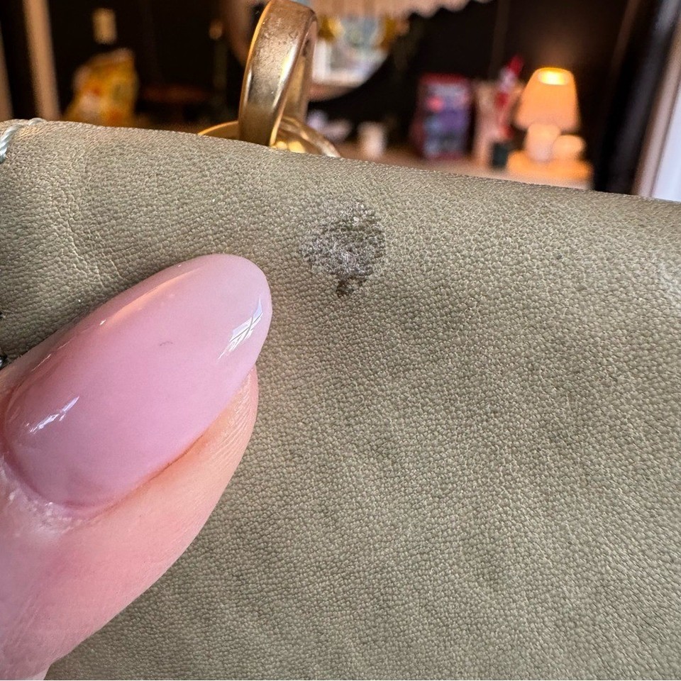 Elegant luxury Salad By AW 1929 soft Crossbody Bag light green Vintage ...