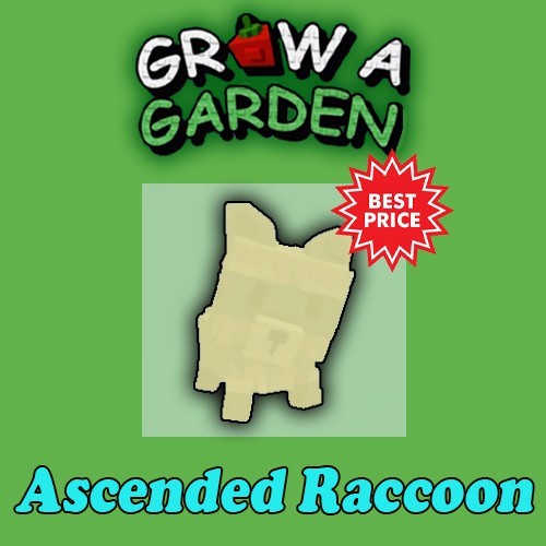 Ascended Raccoon - Grow a Garden Roblox | PETS | Cheap & Fast Delivery ...