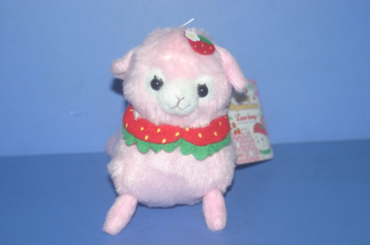 Arpakasso Alpakka Alpacasso Alpaca 2025