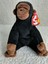 Ty Beanie Baby Congo The Monkey Ape DOB November 9, 1996 PVC Pellets | eBay