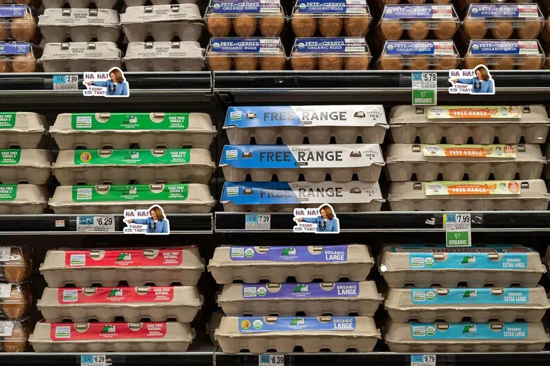 (10 PACK) Donald Trump I Did that! Glossy Anti Maga Sticker! Featuring ...