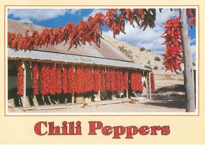 Vintage Postcard: Chili Peppers, New Mexico | eBay